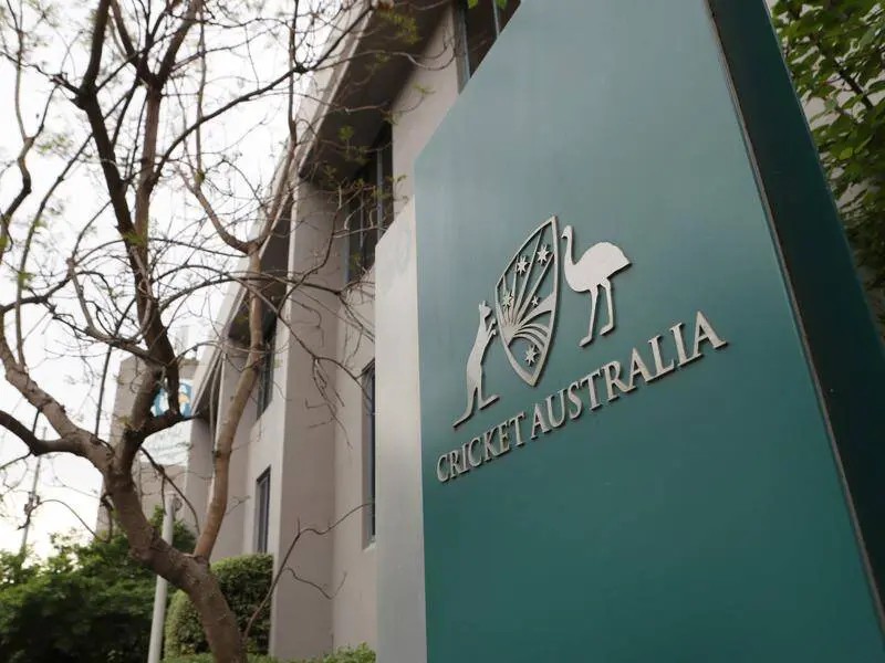 Australian Cricket Players' Salaries: Detailed Overview