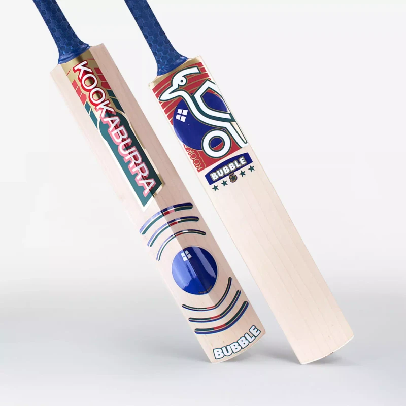 Top 10 Best Cricket Bats Complete Guide