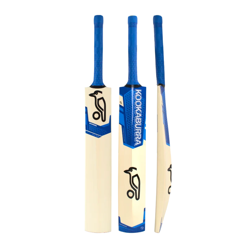 Top 10 Best Cricket Bats Complete Guide