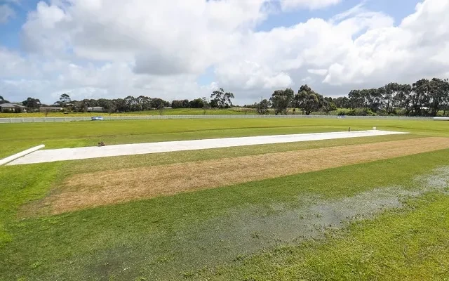 Cricket Pitch Types Explained